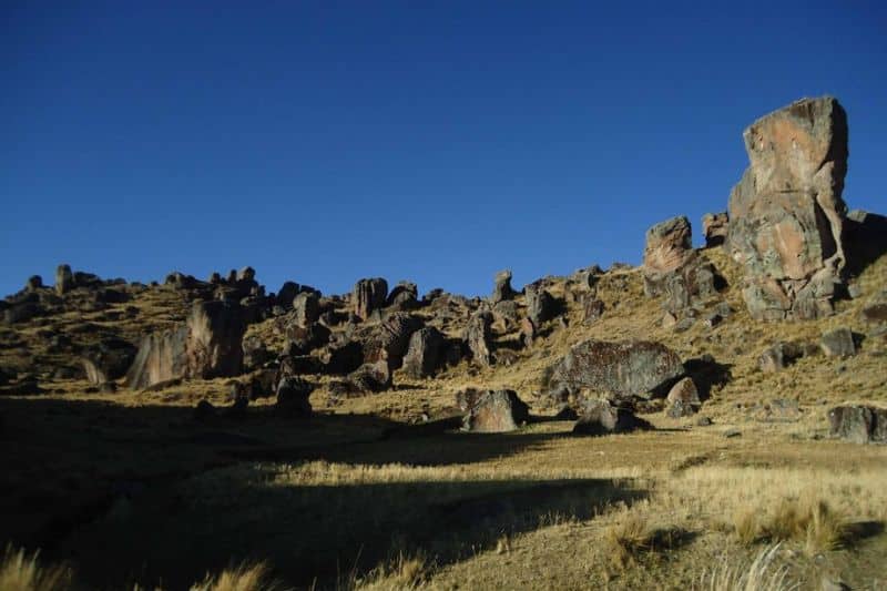 Los increíbles Bosques de Piedra del Perú